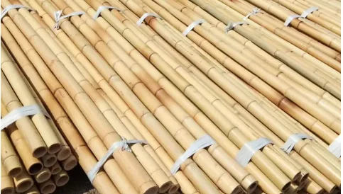 Bamboo Poles from Viet Nam - Durable and Versatile Solutions