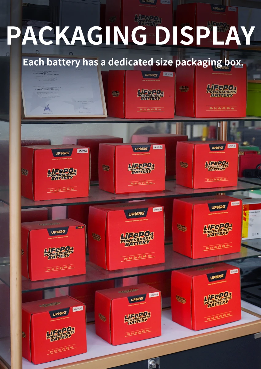 Prismatic LiFePO4 Lithium Ion Batteries Boxes Racks 12.8V 100Ah IP67 ...