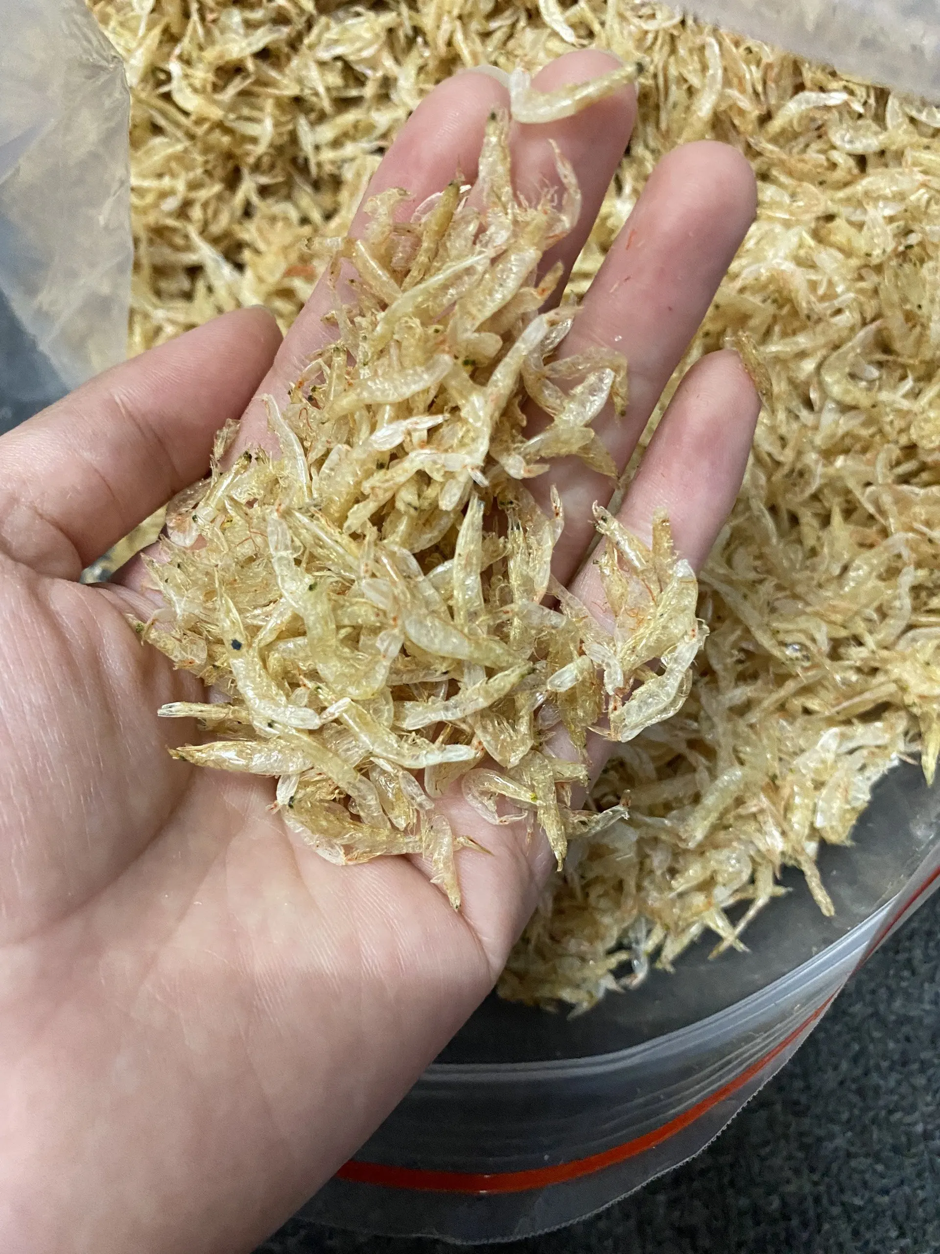 High-quality Dried Baby Shrimp With Top Quality Cheap Price Ready For ...