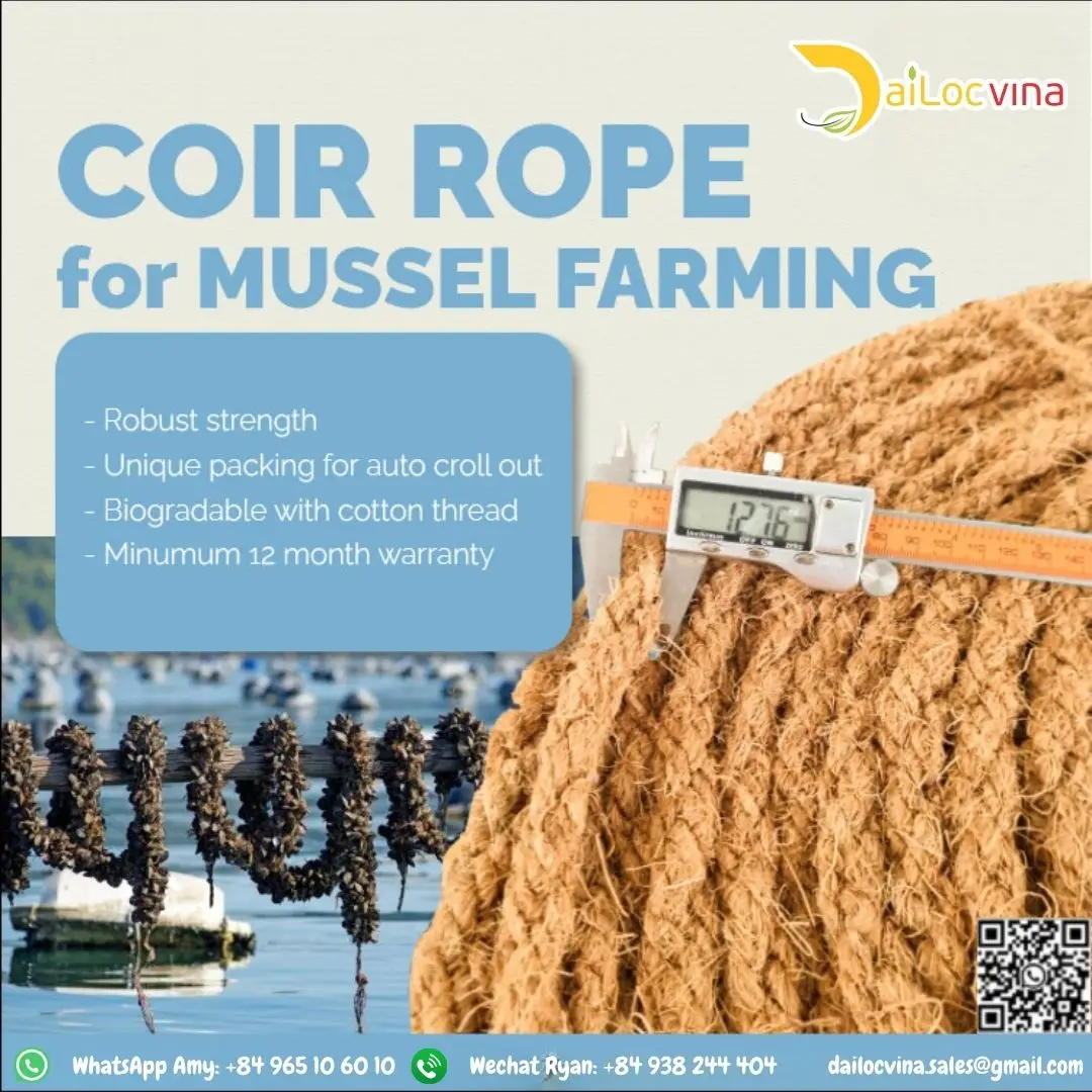 COCO PEAT COCO PITH COIR PITH COCOPEAT WHOLESALE GROW BAGS for GREEN ...