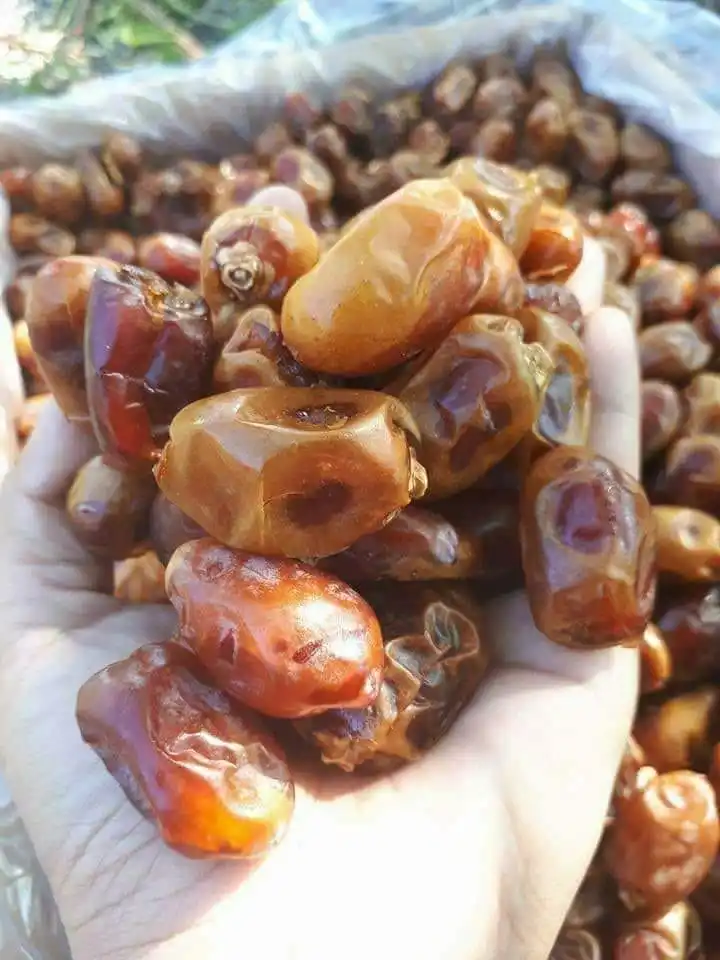 DRIED SOFT DATES - HIGHEST QUALITY TOP DRADE in VIET NAM