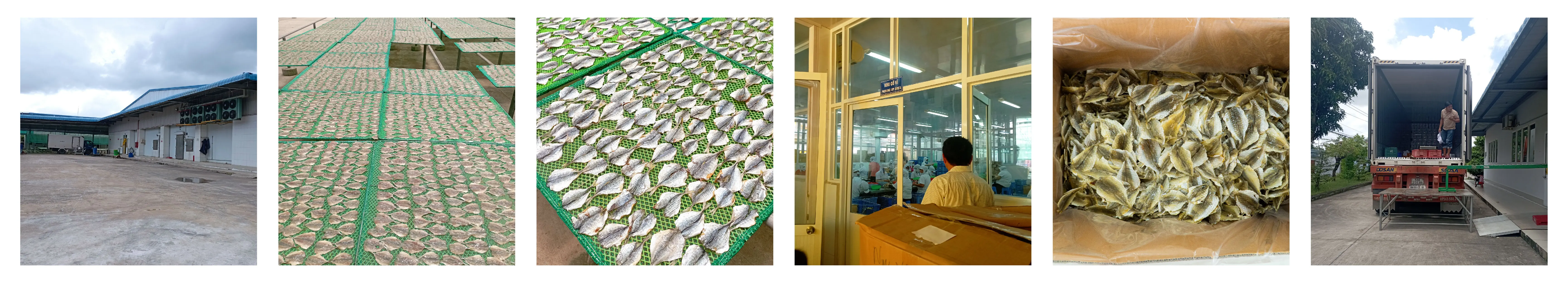 Company Overview - LY HUYNH SEAFOOD CO., LTD