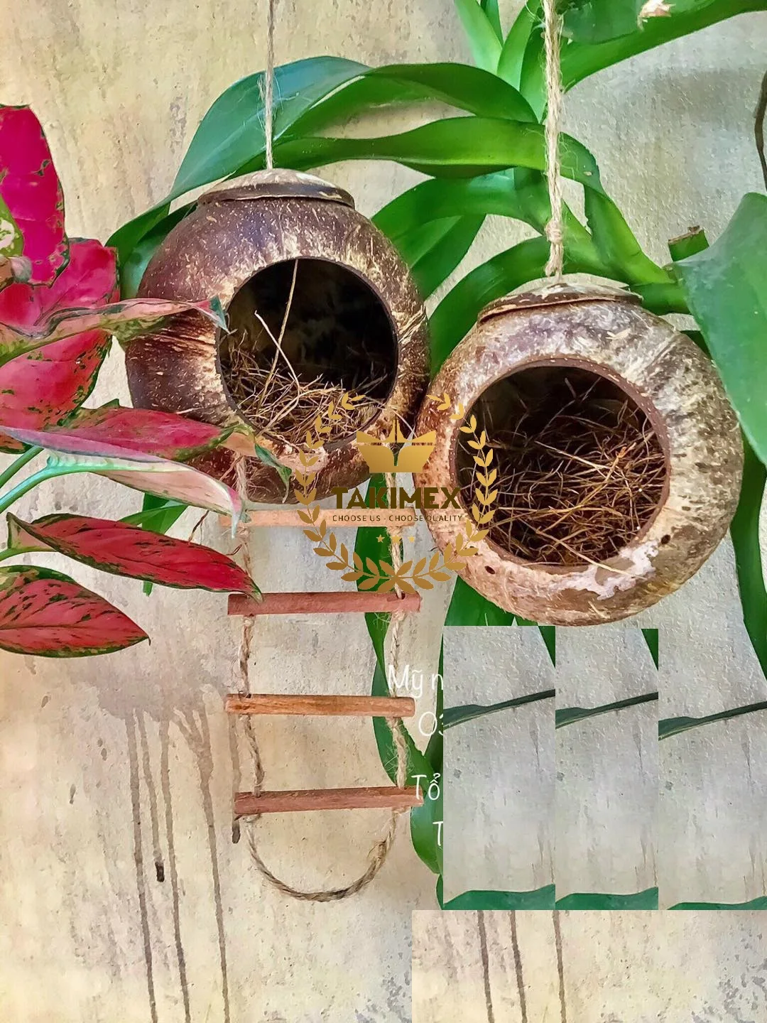 Coconut Shell Bird Nest House for Pet Parrot Seed Feeder