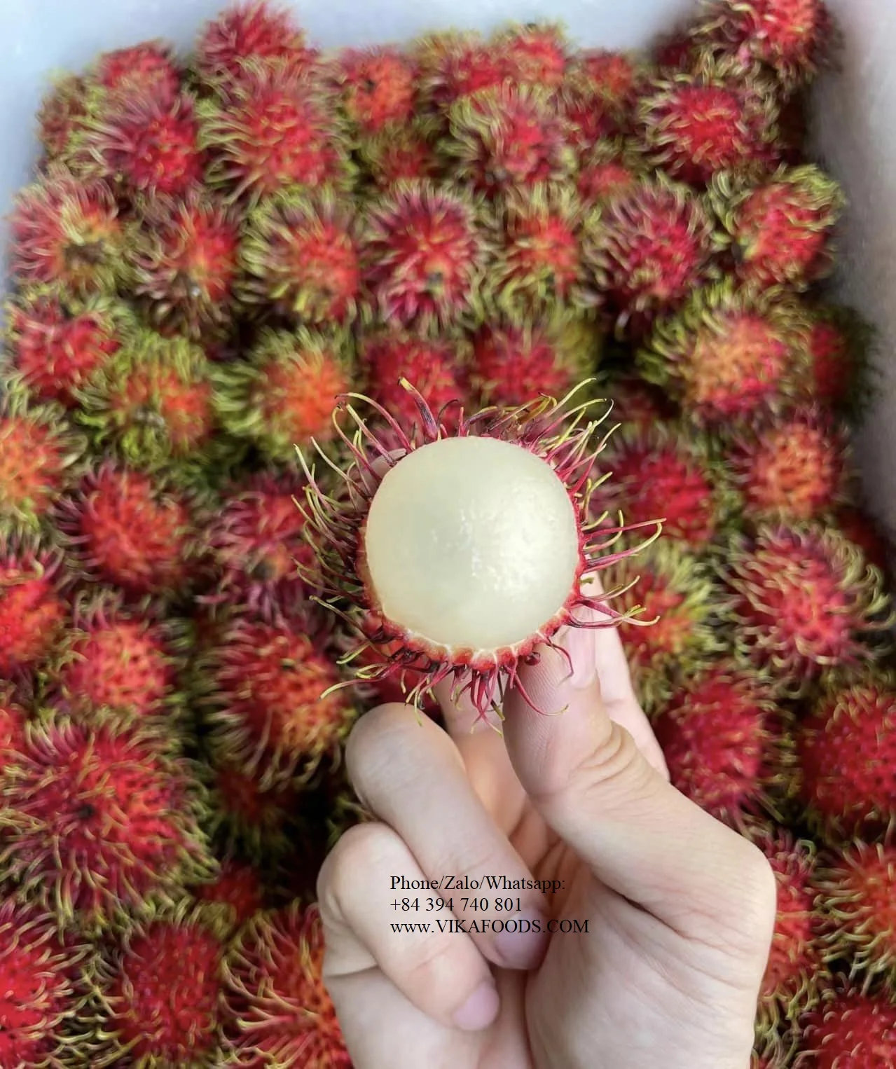 Wholesale Fresh Red Sweet Rambutan Viet Nam For Eaten Raw Or Cuisine ...