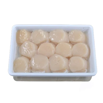 Wholesale Seafood Products Box Packaging Fresh Meat Scallop Shell - Buy ...