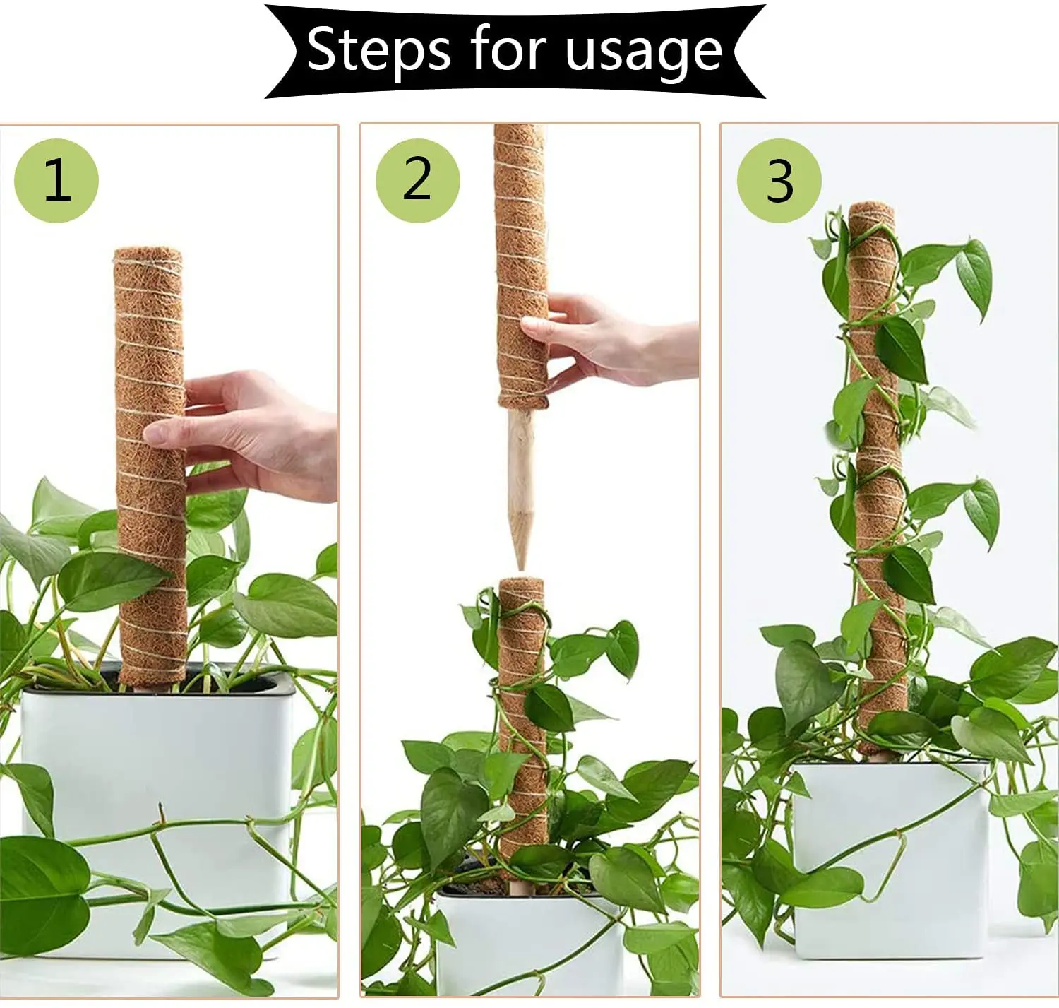 Moss Pole With Coco Coir Fiber Extendable Stackable Growth Plan ...