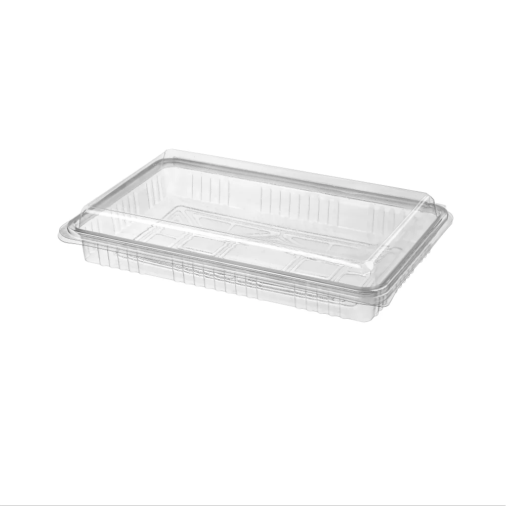 Ready To Ship 500cc Plastic Leak Proof Container Disposable Leak-proof ...