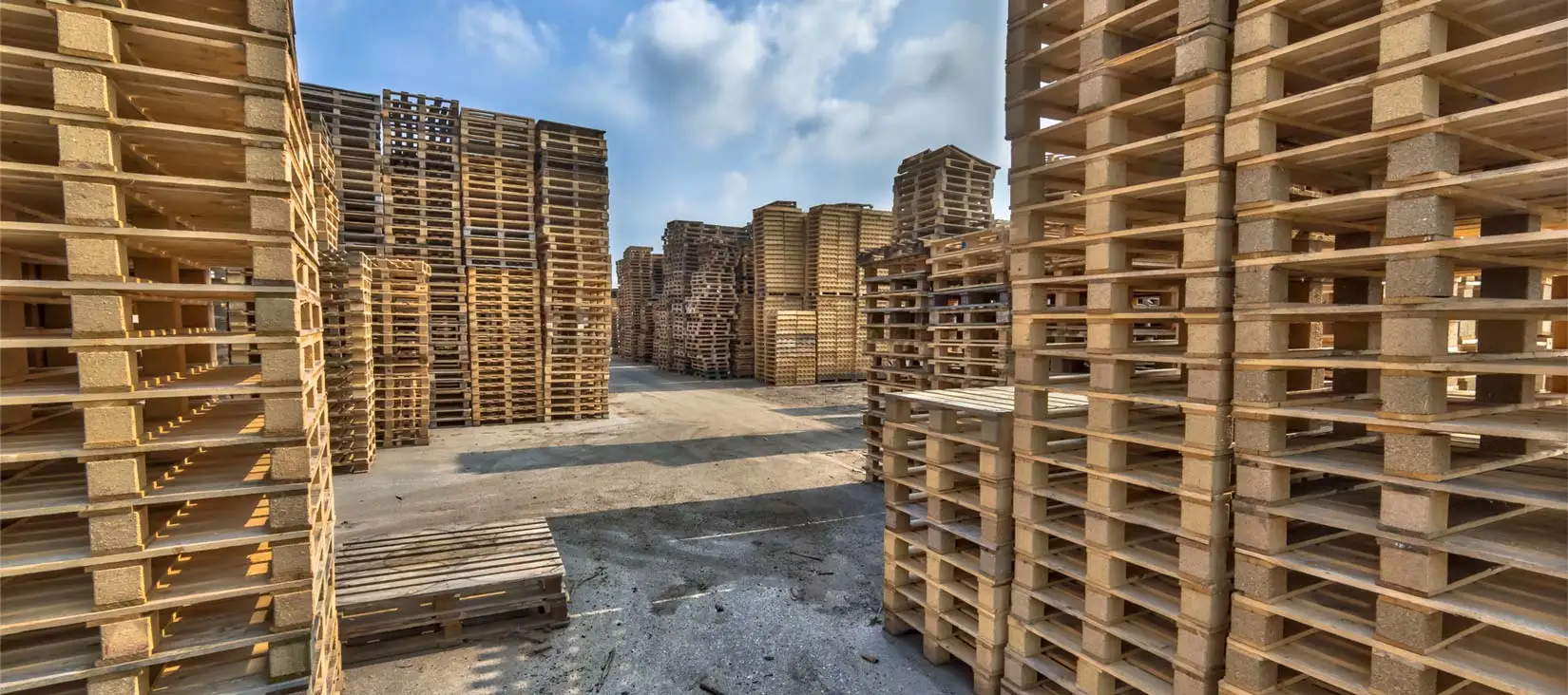 Wholesale Euro Epal Stamped Wooden Pallet 1200x800 Available For Sale ...