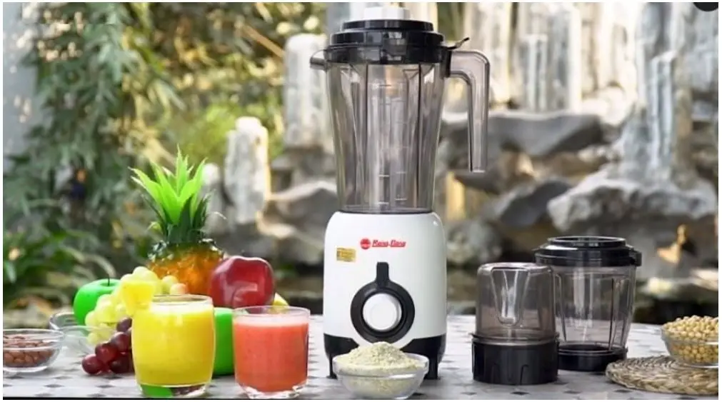 Vietnam Export 250W Multifunction Electric Blender Juice Fruit Blender