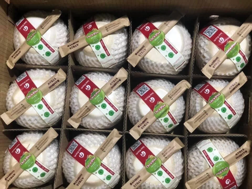 Carton Package Peeled Diamond Coconut Fresh Young Diamond Coconut With ...