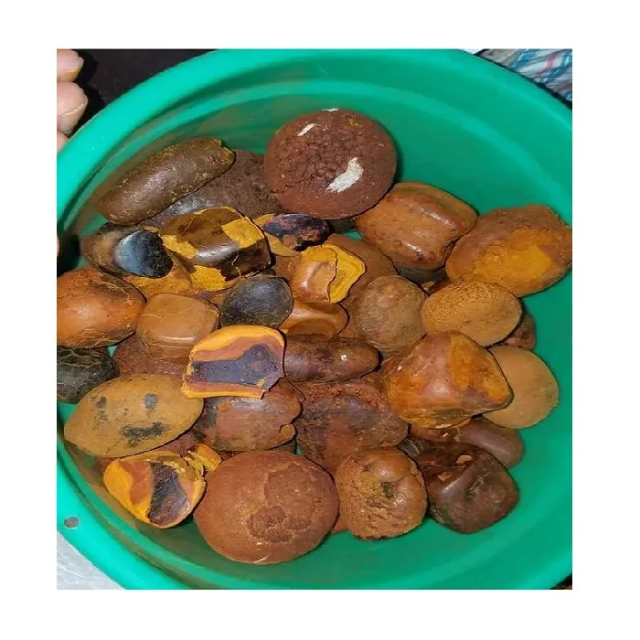 Gallstones 100% Pure Available For Sale At Very Competitive Prices ...