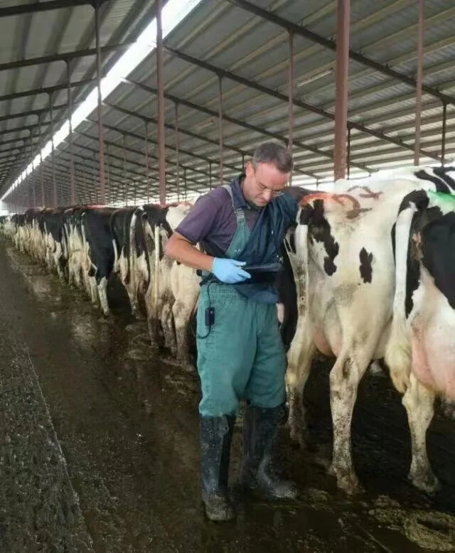 Handheld Canine Bovine Swine Rectal Ultrasound Scanner Equipment ...