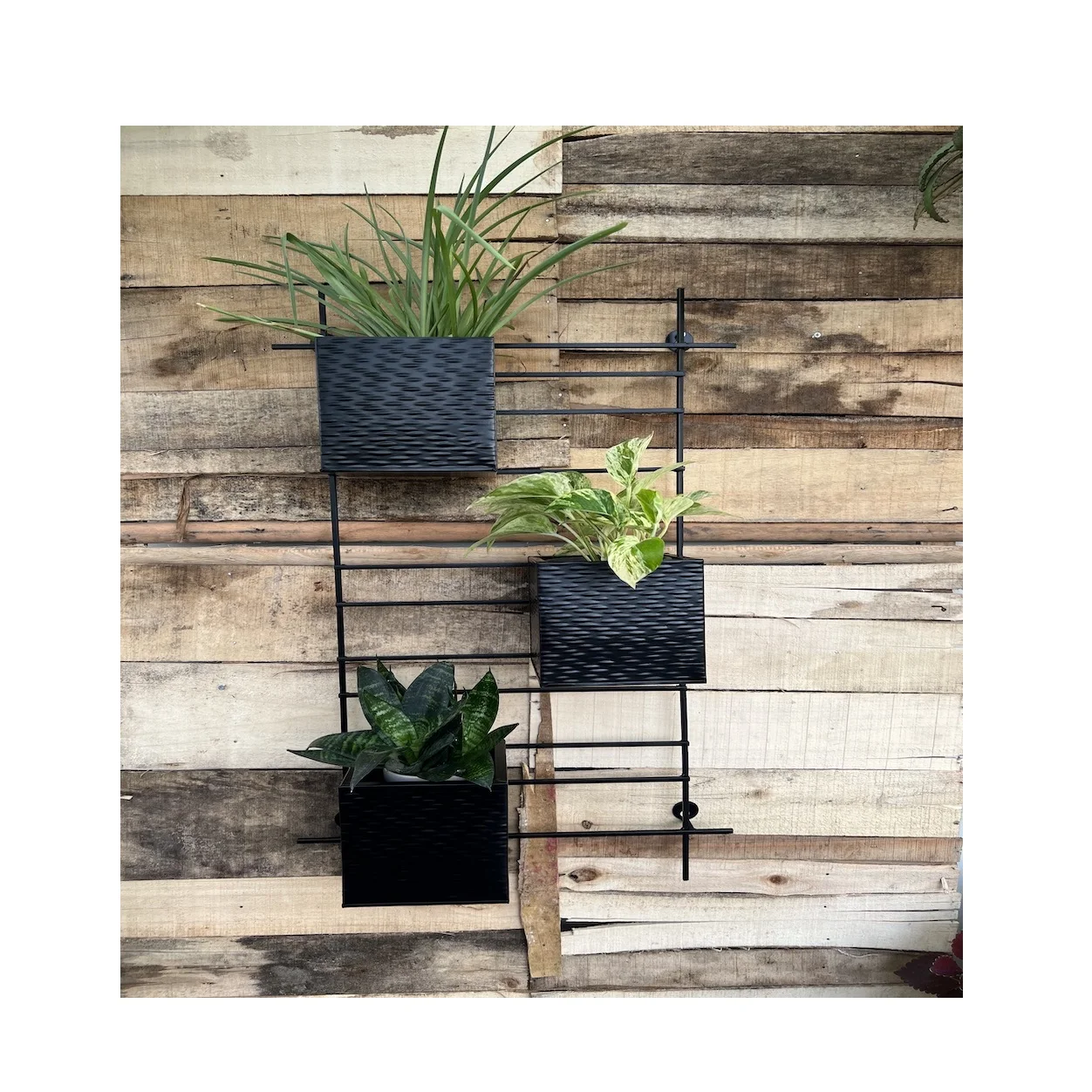 Premium Quality Metal Planter Display Stand Vertical Wall hanging ...