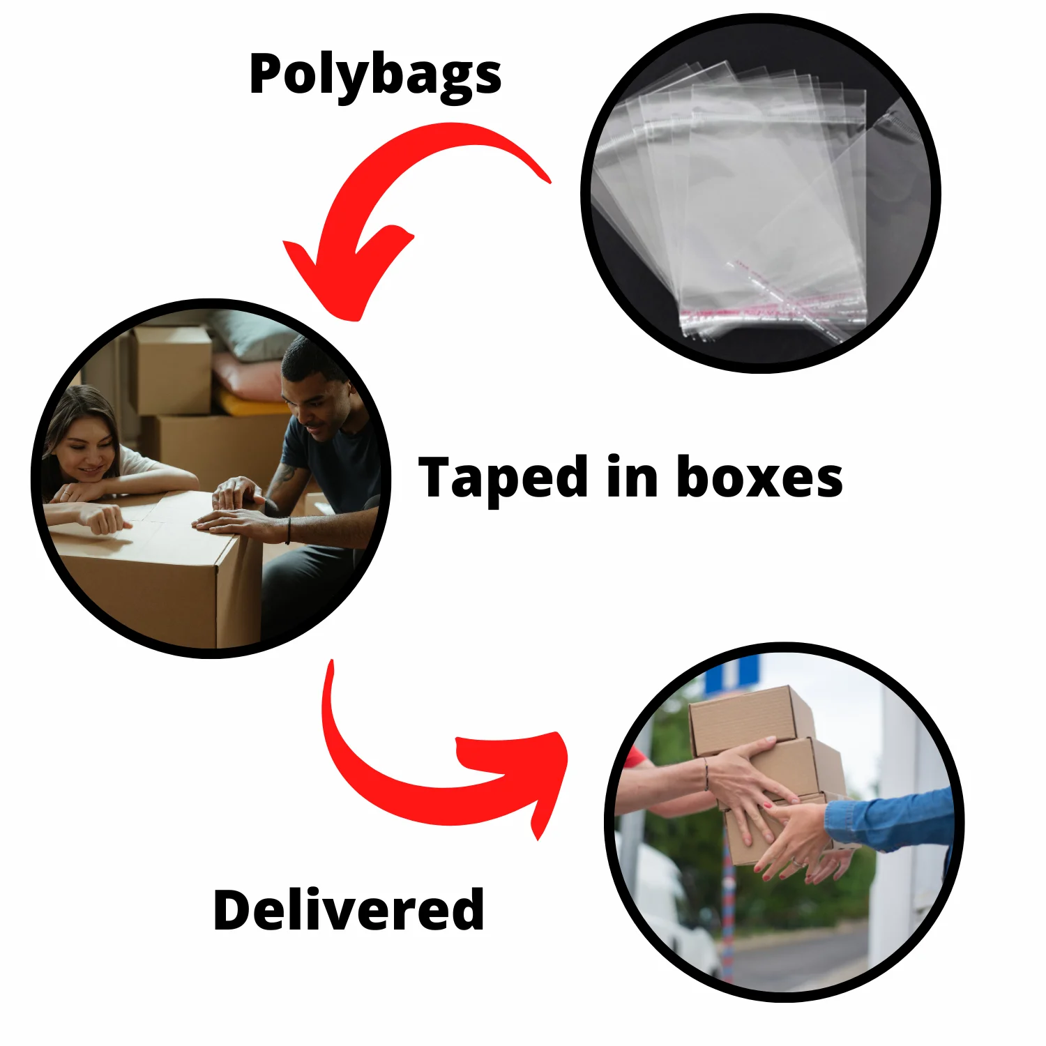 Magill Catheter Introducing Forceps Single Use Anesthesia Airway ...