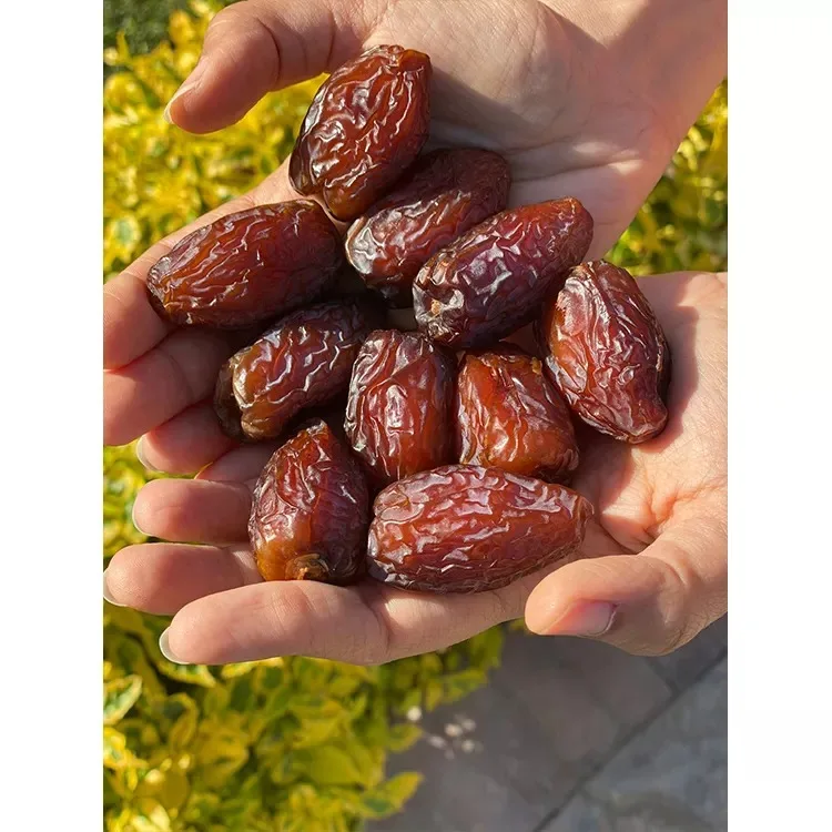 Highest Quality Top Grade Egypt Dried Fruit Snacks Fresh Dates Natural ...