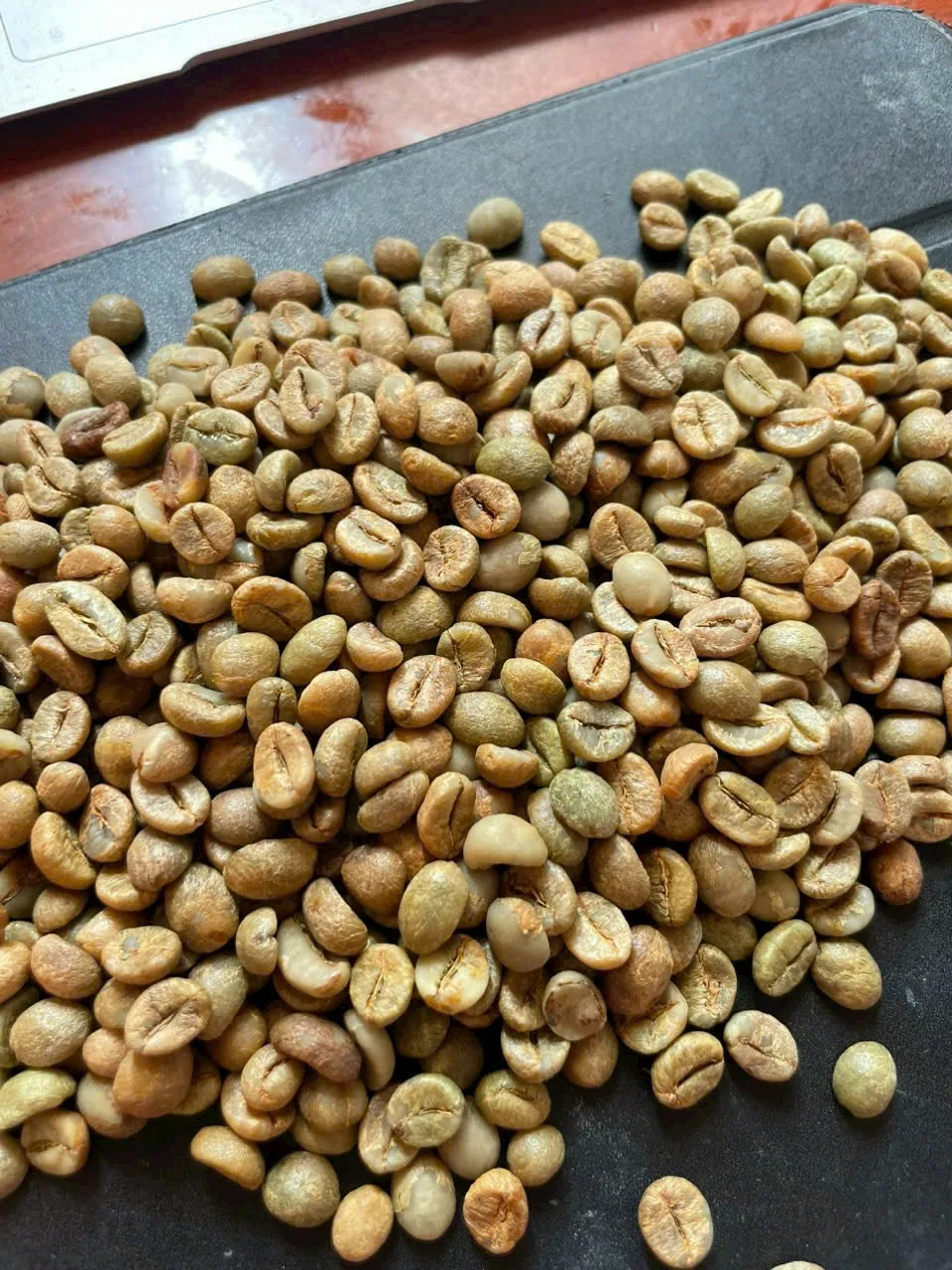 Vietnam Arabica Green Coffee Beans Old Crop With Large Stock Grade A ...