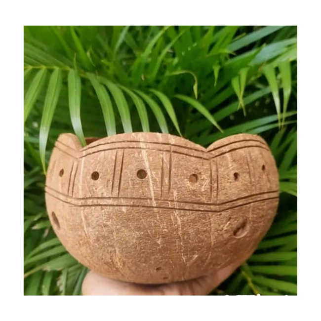 Eco-Friendly Coco Shell Hanging Pots - Minimalist Brown Coconut Flower ...