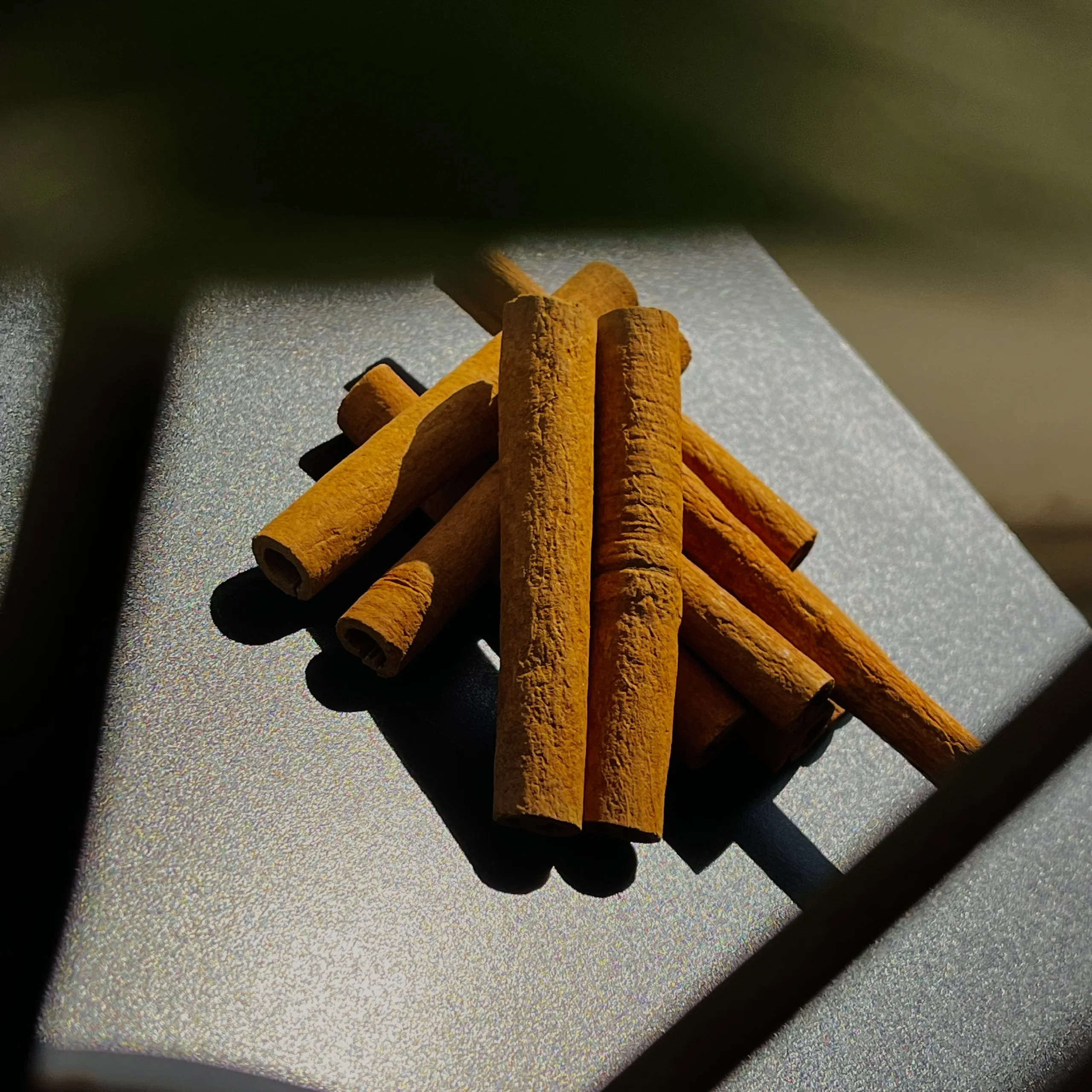 Vietnam FINGER CASSIA (CIGARETTE CASSIA/ CASSIA VERA)