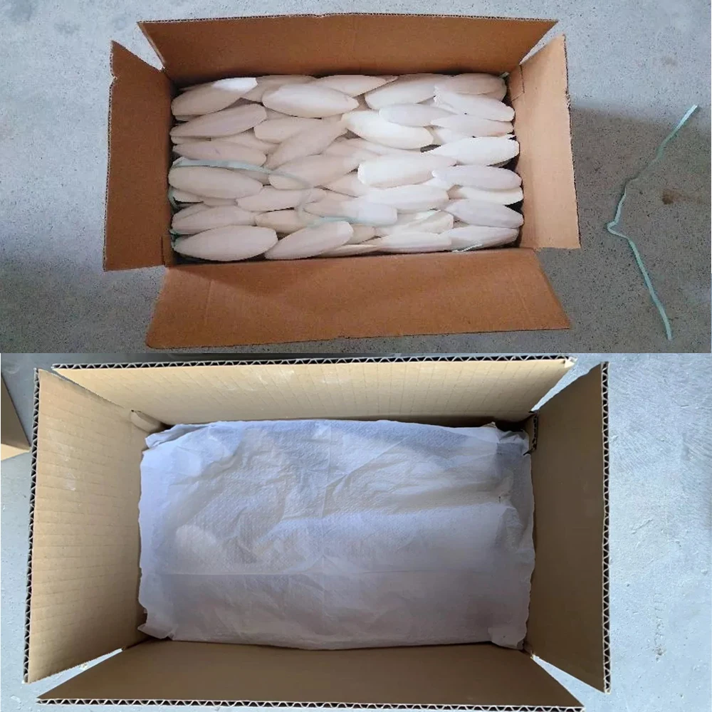 Fresh Cuttlefish Bone Squid Bone - Buy 100 % Sun Dried Natural ...