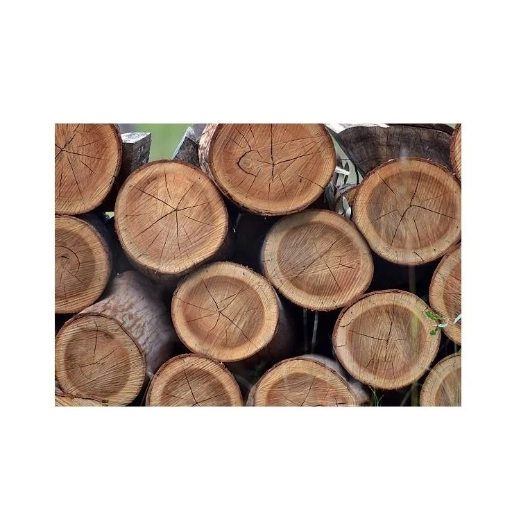 Alibaba.com: Eucalyptus Wood Round Logs for fencing, outdoor durability ...