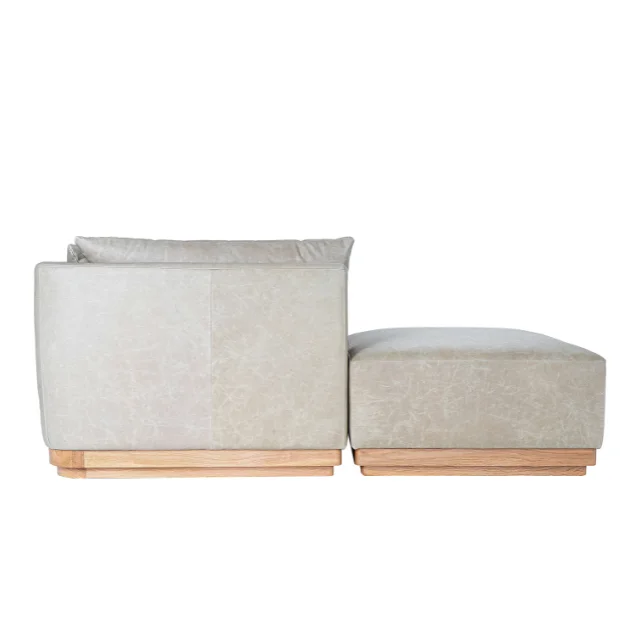 Shop Our Couch Living Room Sofa - Modern & Leather Design