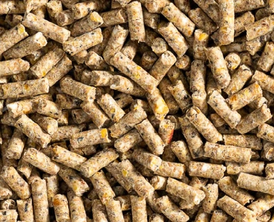 Bulk Vitamins & Amino Acids Cereals Grains And Beans Ready-pelleted ...