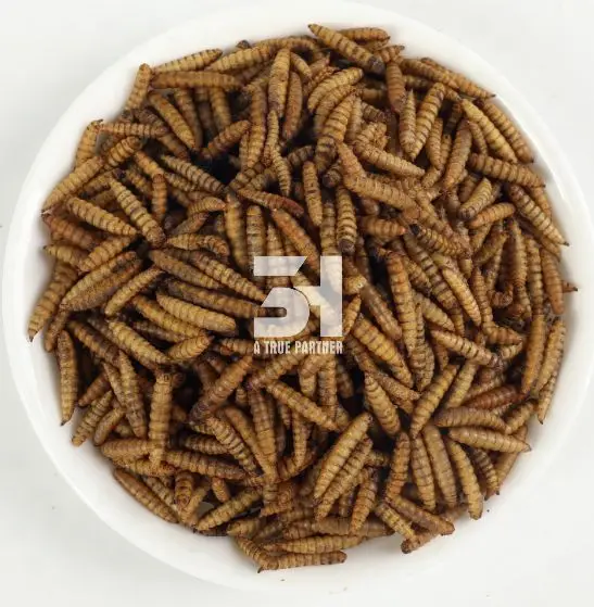 Factory Supply Dried Black Soldier Fly Larvae With High Quality And ...