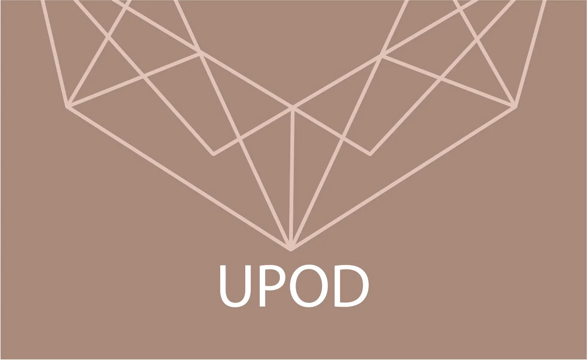Company Overview - UPOD