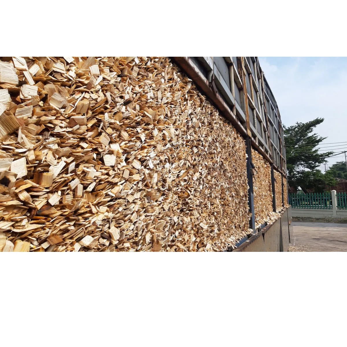 Acacia Wood Chip Factory Price For Boiler Water Heater Or Paper Pulp ...