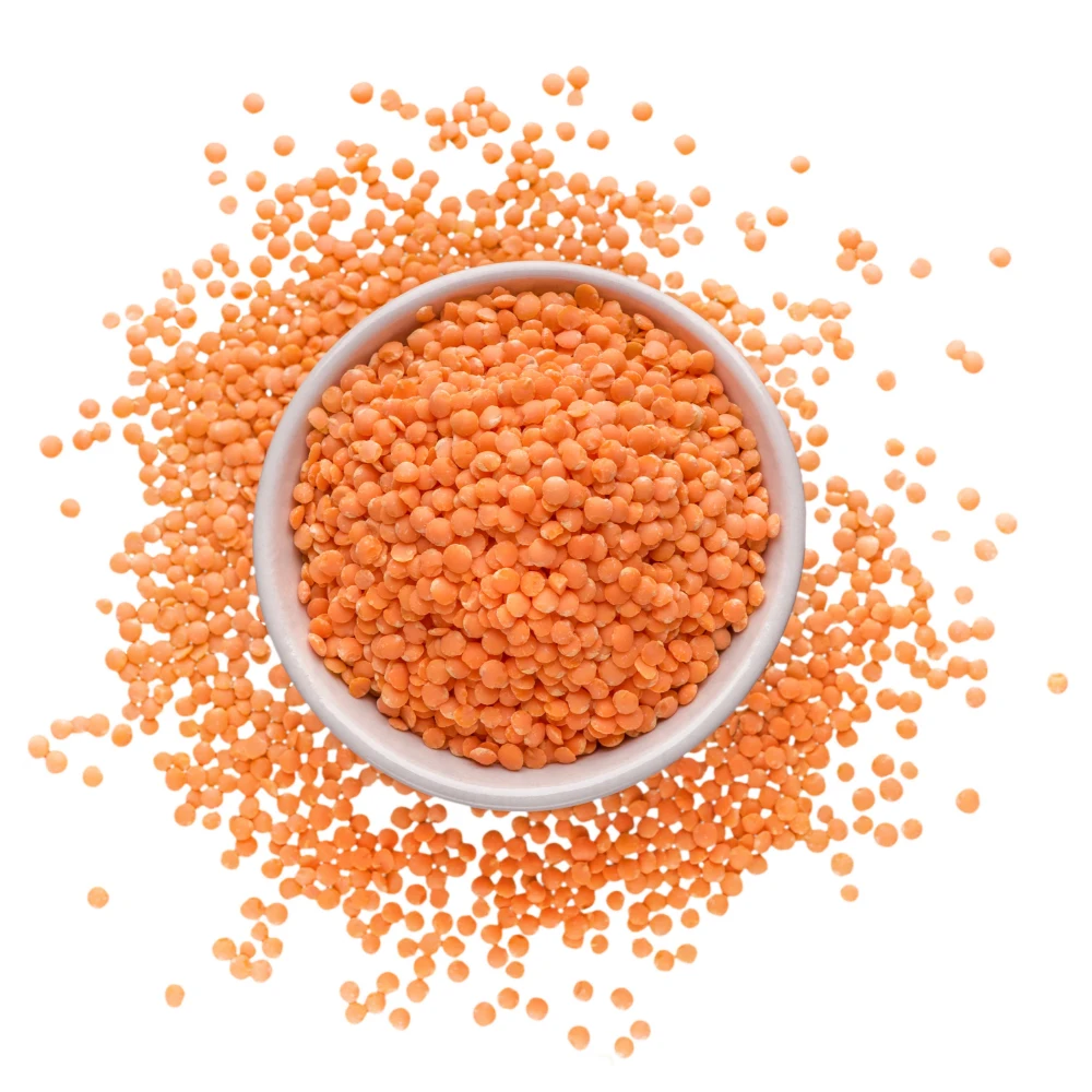 Premium Quality Best Price Export Green Red Lentils Masoor Dal - Buy Lentils,Best Quality ...