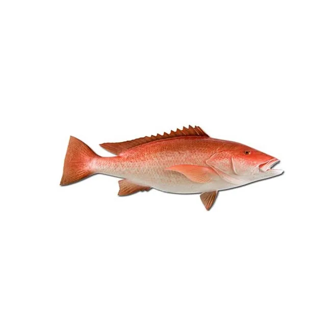 Whole Frozen Red Snapper Fish BQF Freezing Process Low-Sugar Low-Fat 2-Year Shelf Life Best ...
