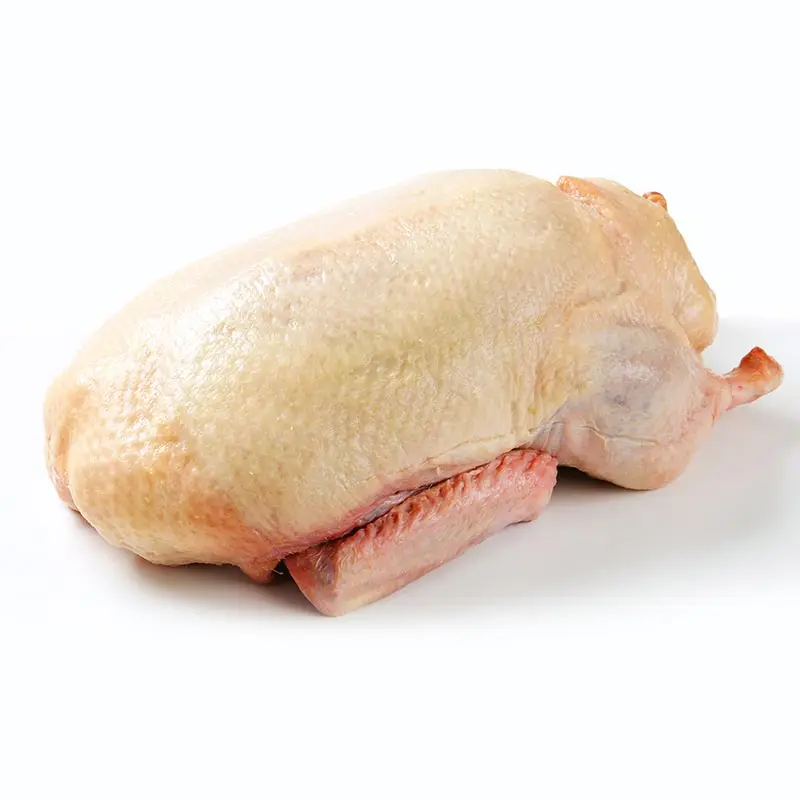 Alibaba.com: Halal certified, frozen whole duck without offal ...
