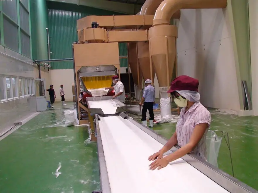 Very Sweet/tasty And Fatty Coconut Flakes Coconut Chips High Quality ...