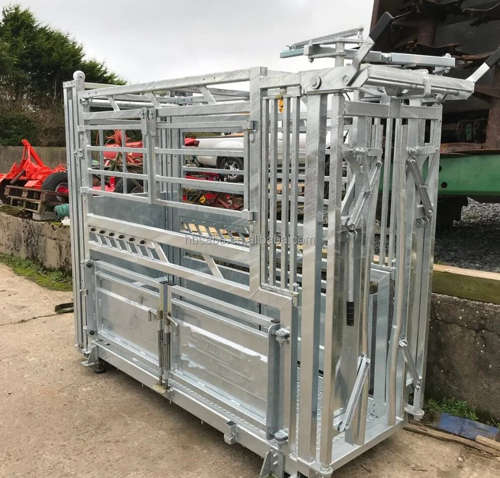 Hot-dipped Galvanized Cattle Handling Equipment for Farms