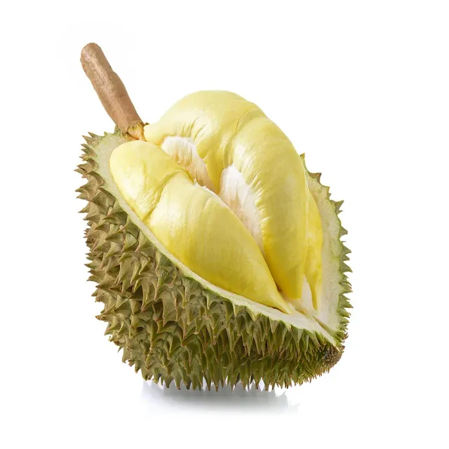Fresh Durian Fruit Premium Grade . Monthong Durians Direct From Farmer ...