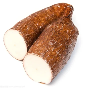 Fresh Cassava/fresh Cassava Root - Cassava - Best Price - Buy Fresh ...
