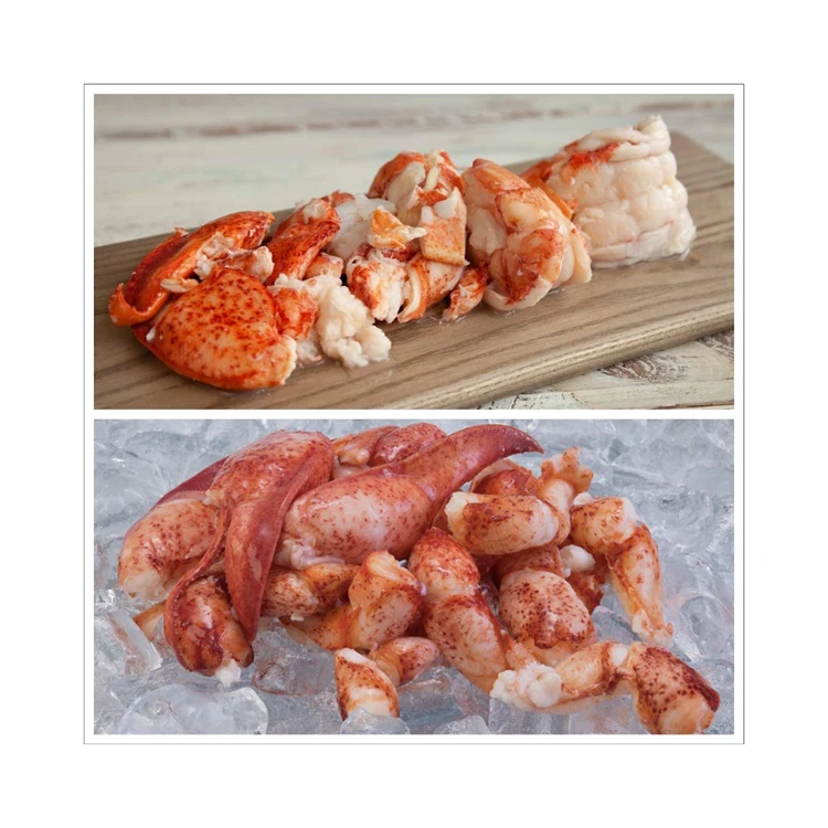 Fresh and Frozen Claw & Knuckle Lobster Meat| Alibaba.com