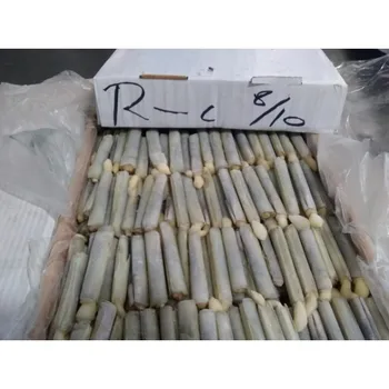 Top Quality Razor Clam Available In Discounted Price - Buy Clam,Razor ...