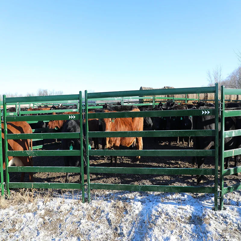 Livestock Metal Fence Panels - Durable & Versatile Solutions