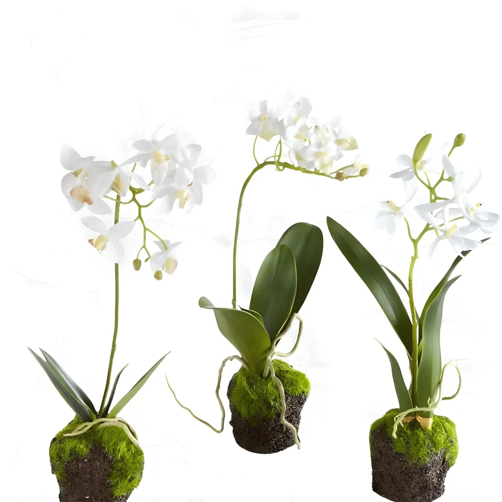 Artificial Dendrobium Orchid Real Touch Moss With Root For Indoor Table ...