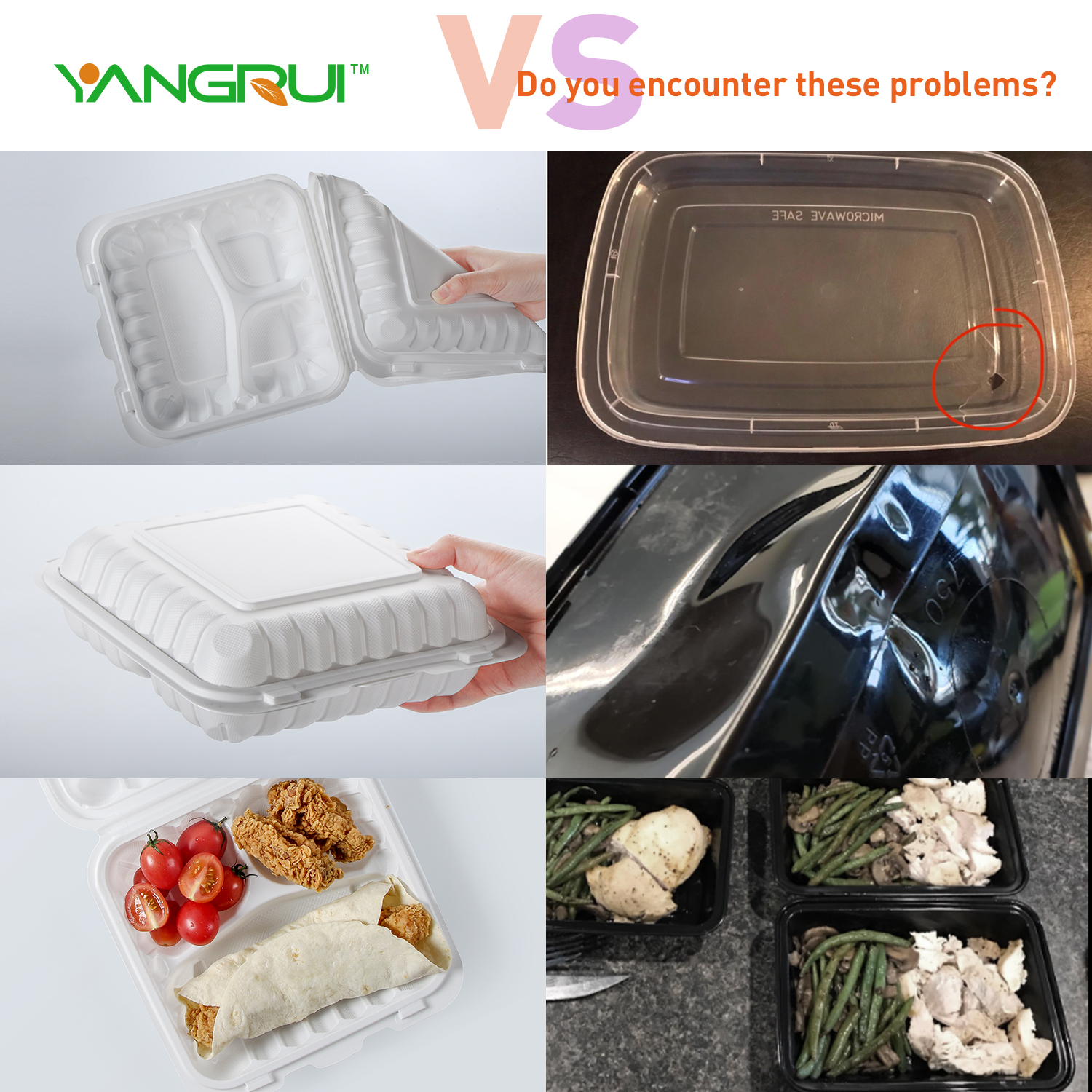 MFPP Clam Shell Containers - Durable, Reusable & Microwave Safe