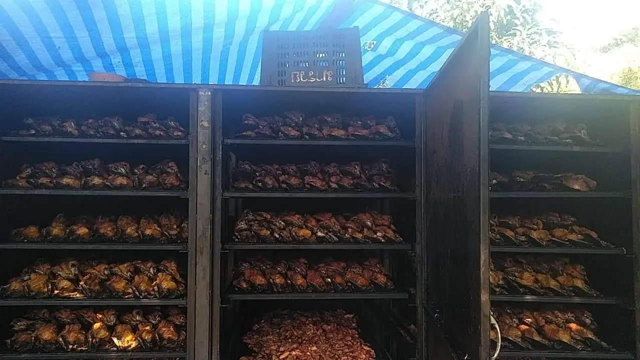 Smoked Dried Catfish Pangasius - Premium Quality Fish