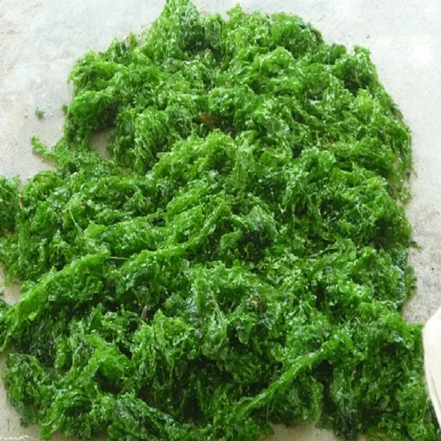 Wholesale Ulva Lactuca Dried Seaweed Green Laver Aonori Ulva Lactuca ...