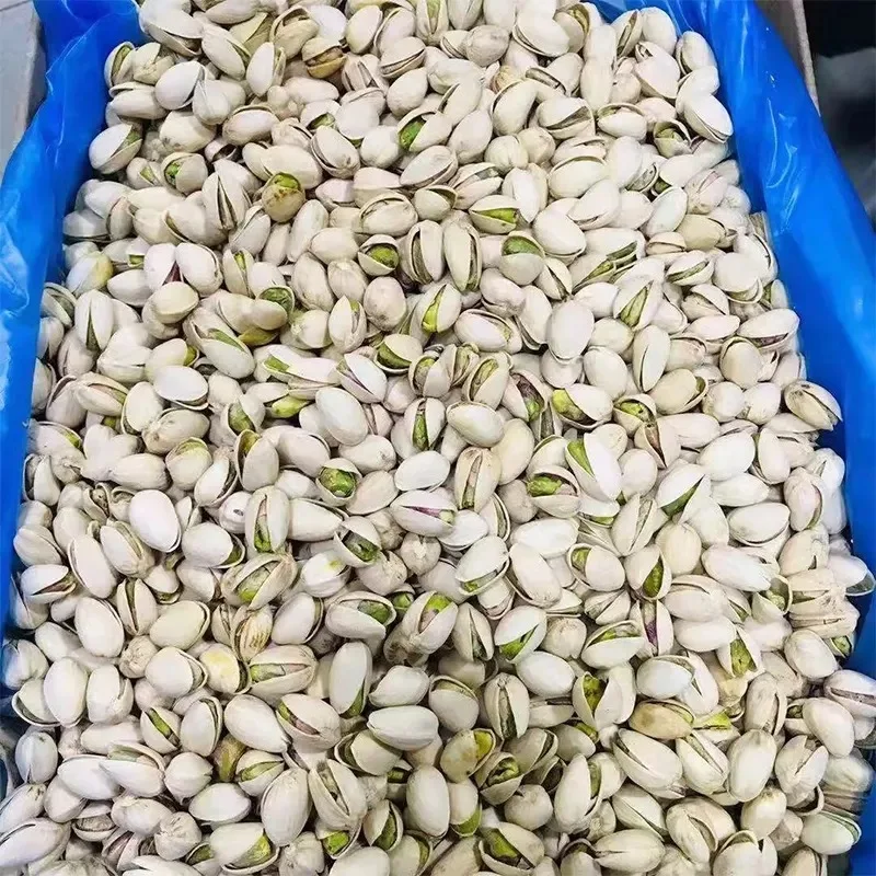 Pistachio Nuts - Buy Square Nuts,Arabic Mixed Nuts,Pili Nut Product on ...