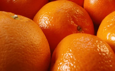 Navel Oranges With Delicious Taste - New Harvest 2024 - With Best Price ...