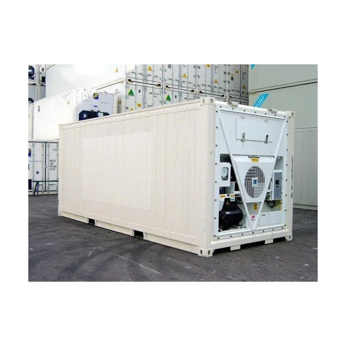 20ft 40ft Container Freezer Cold Storage Room And Chiller Freezer ...