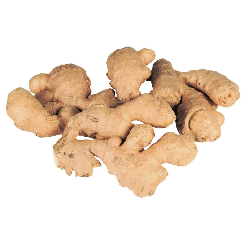 Fresh Ginger 10kg/carton,Shandong Crop,Have Store,Hot Sale - Buy ...