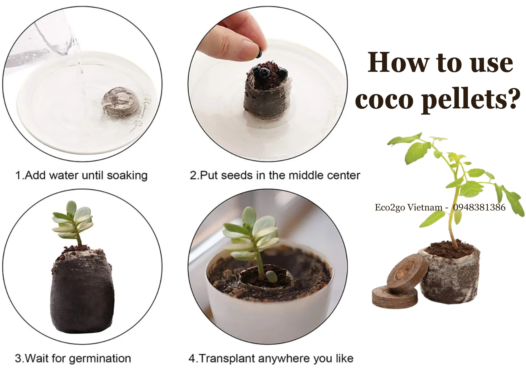 Coco Coir Grow Pellet/ Coco Peat Pellets High Quality Natural Material ...