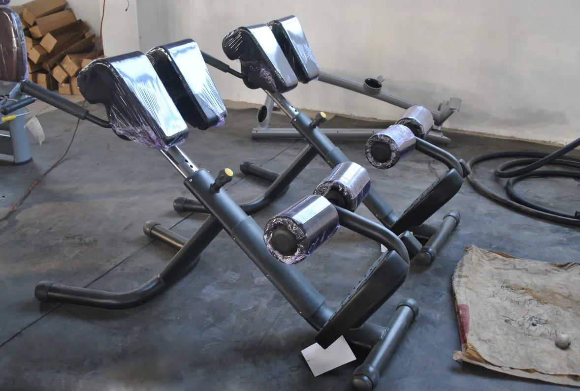 Customized Steel Roman Chair for Fitness Training - OEM Available