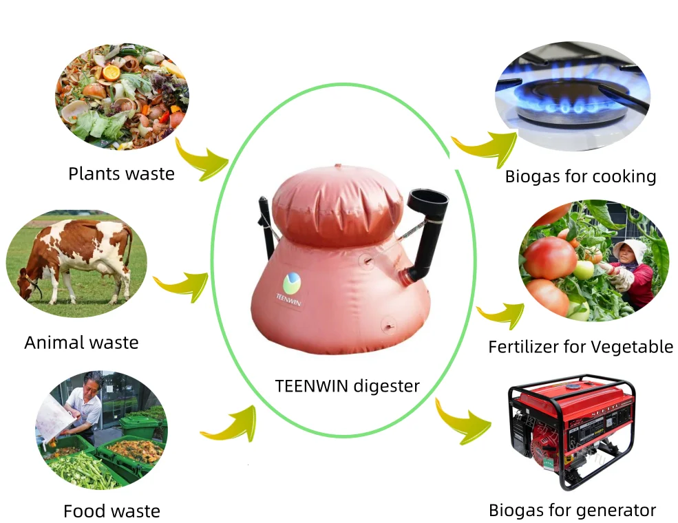 Family Size Biogas Plant Digester Biogas - Cooking Fuel